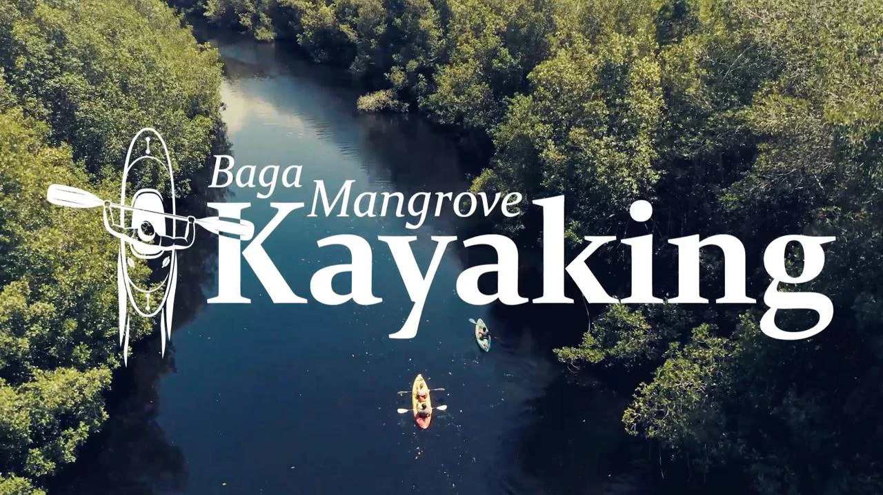 Baga Mangrove Kayaking – Guided Mangrove Kayak Tours in Goa